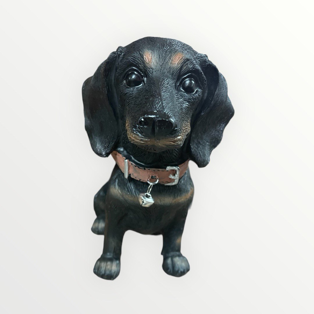 Dackelparadies - Schwarzer Dackel sitzend